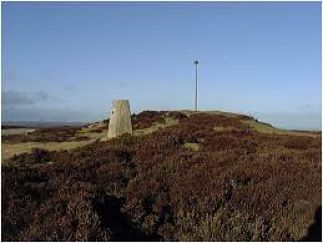 Danby Beacon – Cleveland Wheelers